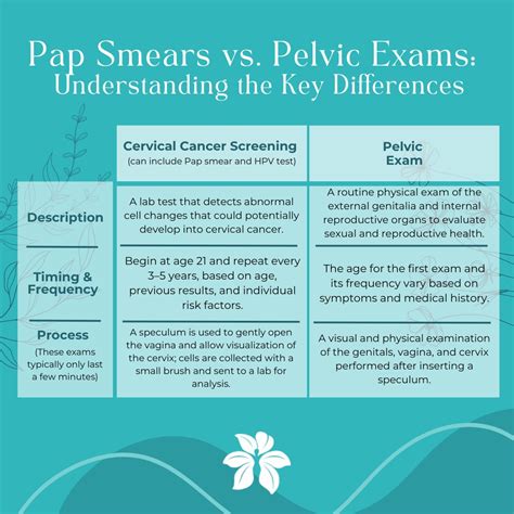 Gynecology A Pap Smear Is A Key Test During A Pelvic Exam That