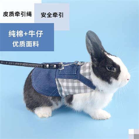宠物兔子衣服兔兔荷兰猪垂耳兔侏儒兔幼兔专用服饰饰品兔子牵引绳 虎窝淘