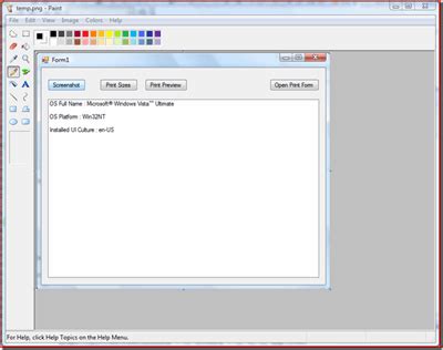 Windows Form Screenshot And Print Preview In VB NET CodeProject