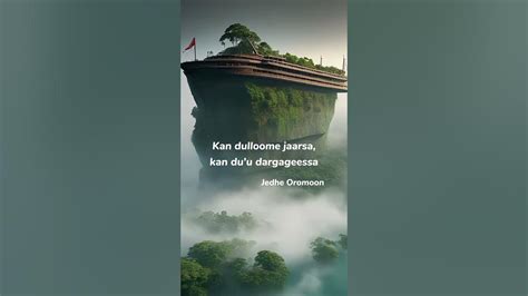 Mammaaksa Oromoo Youtube