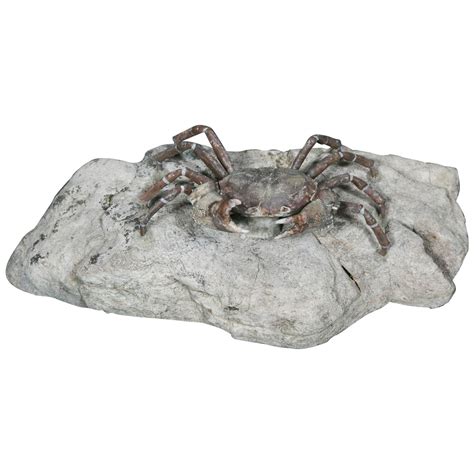 Beautiful Fossil Crab Specimen Pliocene Taiwan