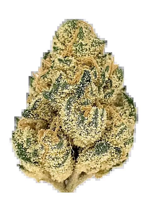 Mango Tango Cannabis Strain Information Growdiaries