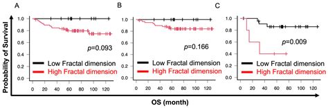 Fractal Dimension Circularity And Solidity Of Cell Clusters In Liquid