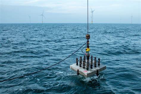 The Ritch North Sea Toolbox For Nature Enhancement In Offshore Wind Farms Submariner Network
