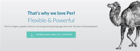 Perl语言简介 知乎