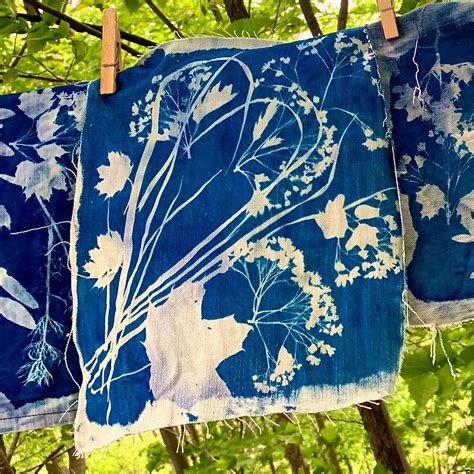 How To Make Cyanotype Prints On Fabric Cyanotype Prints Sun Prints
