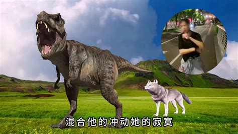 我没k~《恐龙抗狼》完整版科星球百度百科