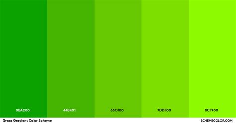 Grass Gradient Color Scheme Palettes
