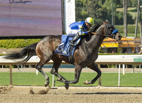 Not This Times Goal Oriented Ticks Maiden Box At Santa Anita Earns Tdn Rising Star