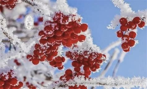 立冬养生篇 知乎