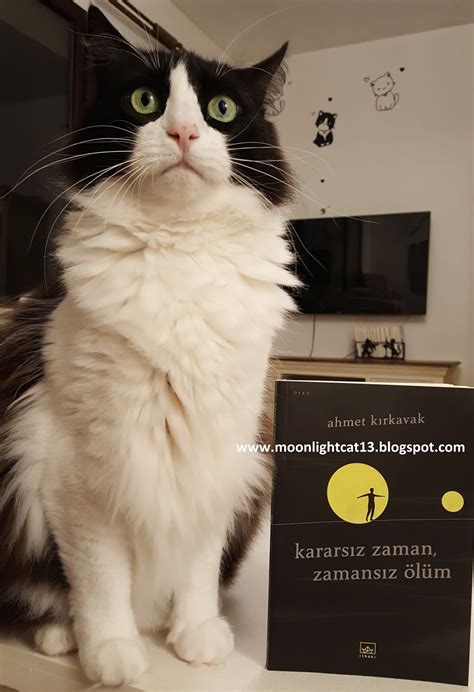 moonlightcat13 Yılbaşından Bu Yana Kitap Alışverişlerim