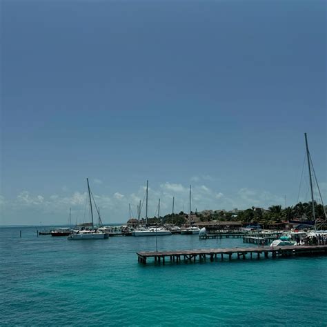 Sofia Chavez Sofiachavezzb • Instagram Photos And Videos