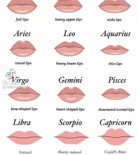 Types Of Lips Shape Different Lips Types Lip Types Types Of Eyes