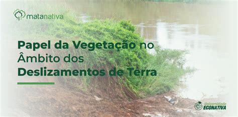 A Vegetação Pode Prevenir Um Deslizamento De Terra