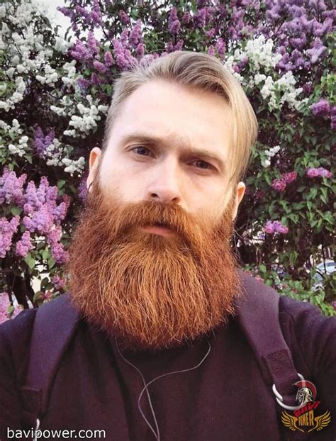Viking Beard Tips And Styles Part 2 Of 2 Like The Hairstyle The
