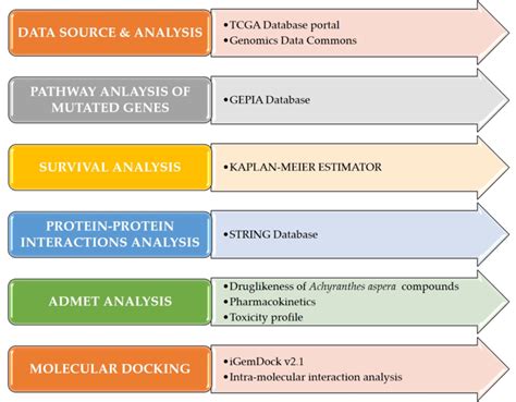 Overall Methodology Followed For The Analysis Of Highly Mutated Genes Download Scientific
