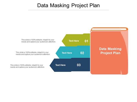Data Masking Project Plan Ppt Powerpoint Presentation Styles Layouts Cpb Presentation Graphics