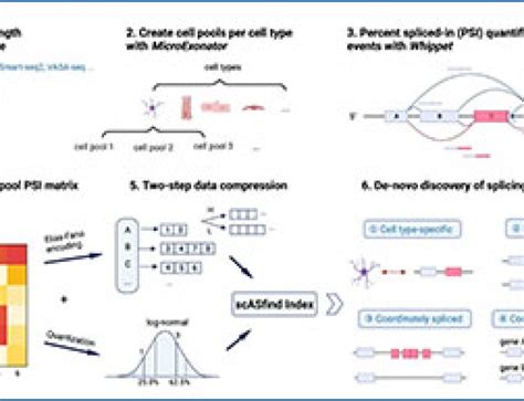 handling multi mapped reads in rna seq rna seq blog