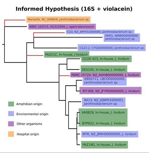 Best Substrate For Z Strain At Mary Lockridge Blog