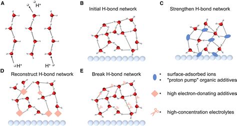 Interfacial Water Regulation For Water Participating Electrocatalytic Hydrogenation Reactions Chem