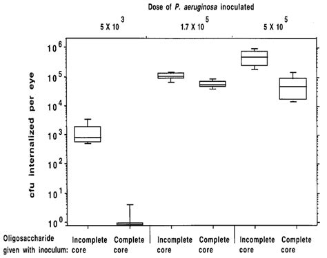 Internalized Cfu Of P Aeruginosa 6294 In Eyes Five Mice Per Group 24