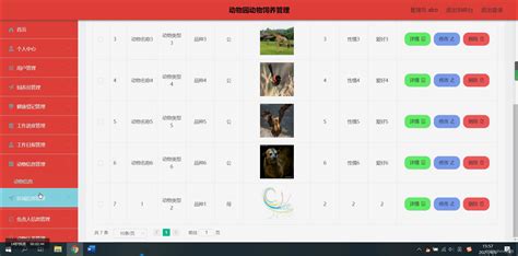 Java毕设项目动物园动物饲养管理计算机附源码 系统 数据库 LW 动物养殖游戏源码 CSDN博客