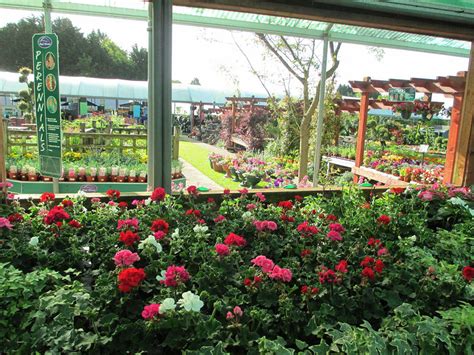 Mud Island Garden Centre Gallery Mud Island Garden Centre