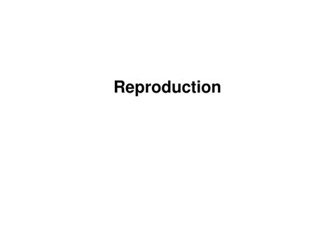 Ppt Reproduction Powerpoint Presentation Free Download Id1913824