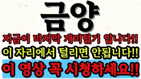 금양 어제 장 마감후에 나온 소식 전합니다 이제 상방으로 방향을 바꿀려고 하네요이젠 오를일만 남은걸까요