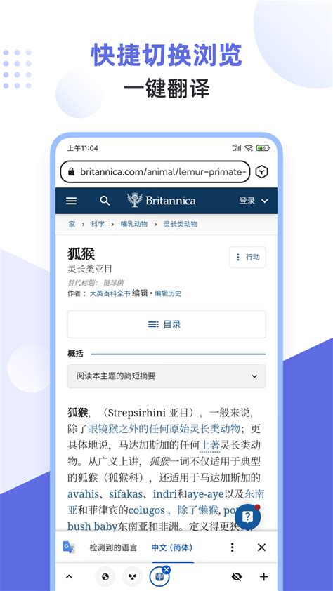 【狐猴浏览器 Kiwi浏览器插件支持】 Vivo应用商店