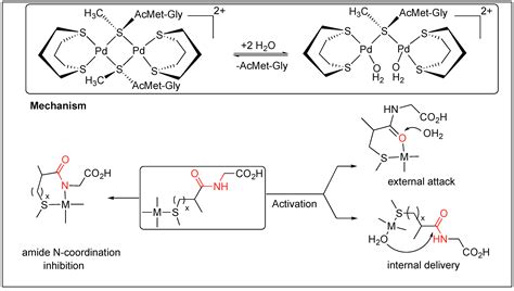 Prota Structure 2018 Activation Norascse