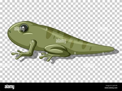 A Tadpole In Flat Cartoon Style Illustration Stock Vector Image And Art