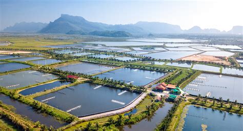 Aquaculture Undercurrent News