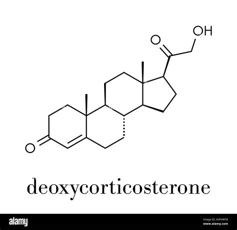 Aldosterone Mineralocorticoid Hormone Stock Vector Images Alamy