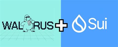 Sui 新手指南：如何快速开始使用 Sui！ 从去中心化金融（defi）到游戏等赛道，sui… By Sui中文小助手 Sui