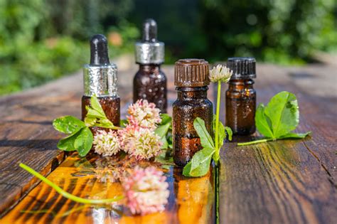 피펫과 기름이 든 병 나무 배경에 클로버 꽃 기름과 클로버 꽃이 든 거품 병에 클로버 오일 작은 병에 에센셜 오일을 클로버 0명에 대한 스톡 사진 및 기타 이미지 Istock