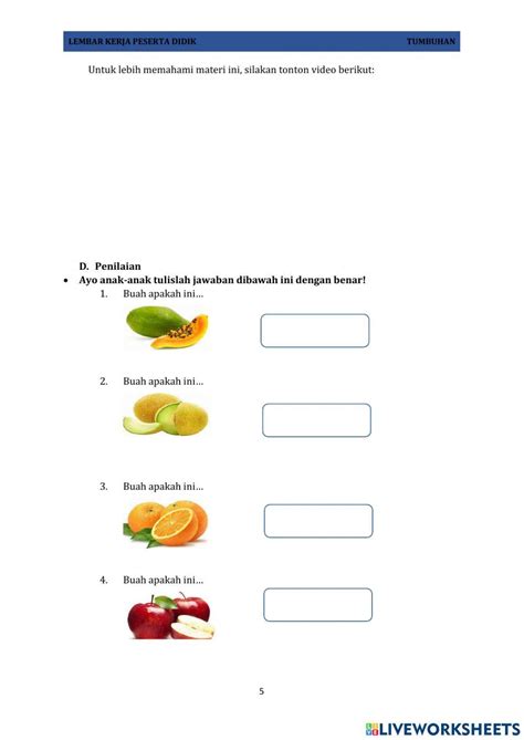 Lkpd Buah Buahan Live Worksheets