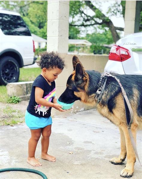 My Cousin And Simba R A