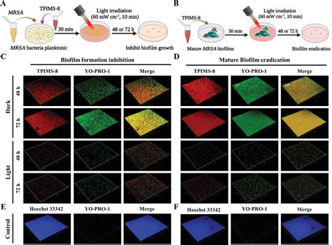 Schematic Overview Of Evaluating The Capability Of Tpms‐8 To A Inhibit