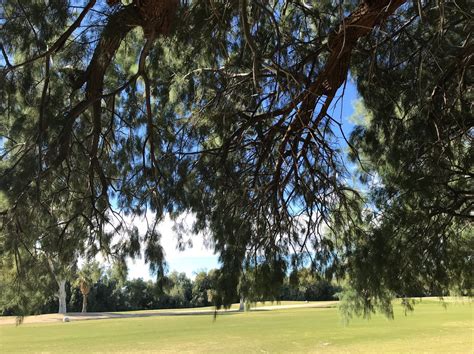 2024年1月rivers Edge Golf Course景点攻略 Rivers Edge Golf Course门票预订地址图片