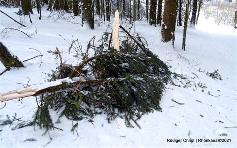 Vorsicht in den Rhöner Skigebieten Schneebruch und umgestürzte Bäume