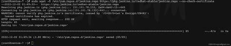 Jenkins安装过程以及问题解决sudo Yum Install Java 11 Openjdk 没反应 Csdn博客