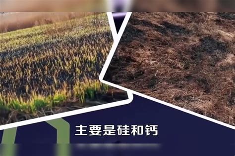 不可思议的自然现象闪电被束缚成球来回滚动球状闪电你见过吗