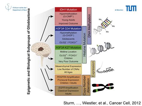 Molecularly Targeted Therapy And Radiogenomic Imaging In Glioblastoma