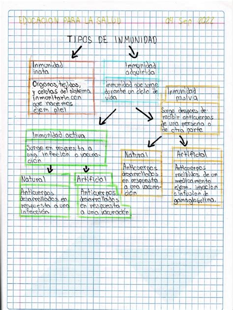 Tipos De Inmunidad Pdf