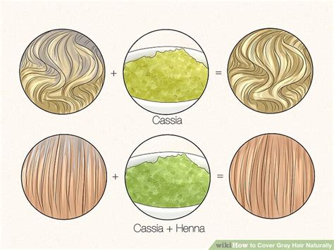 3 Ways To Cover Gray Hair Naturally Wikihow