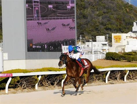 【地方競馬】ニジイロハーピーが兵庫クイーンセレクションv 渡辺竜もケガから復活の重賞勝利 競馬ニュース Netkeiba