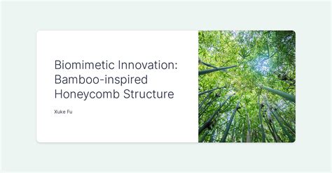 Biomimetic Innovation Bamboo Inspired Honeycomb Structure
