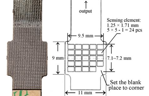 The Customized Pps Sensor With The Sensing Elements Rearranged To 5 × 5