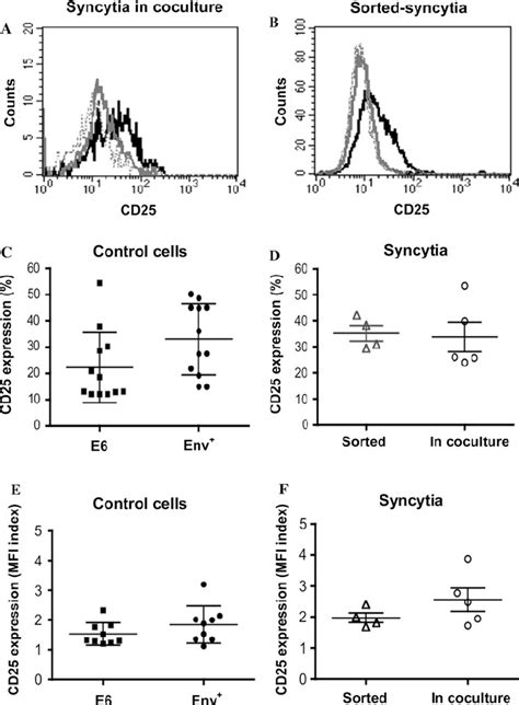 Cd25 Expression On Syncytia And Control Cells After Stimulation With